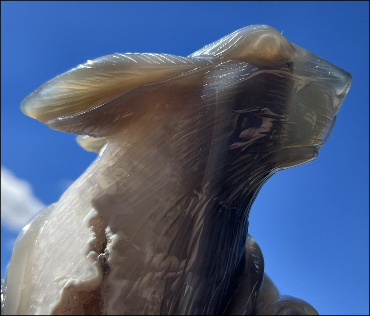 6" Agate RABBIT Totem with BIG Amethyst Lined VUG – Blue Star Traders ...