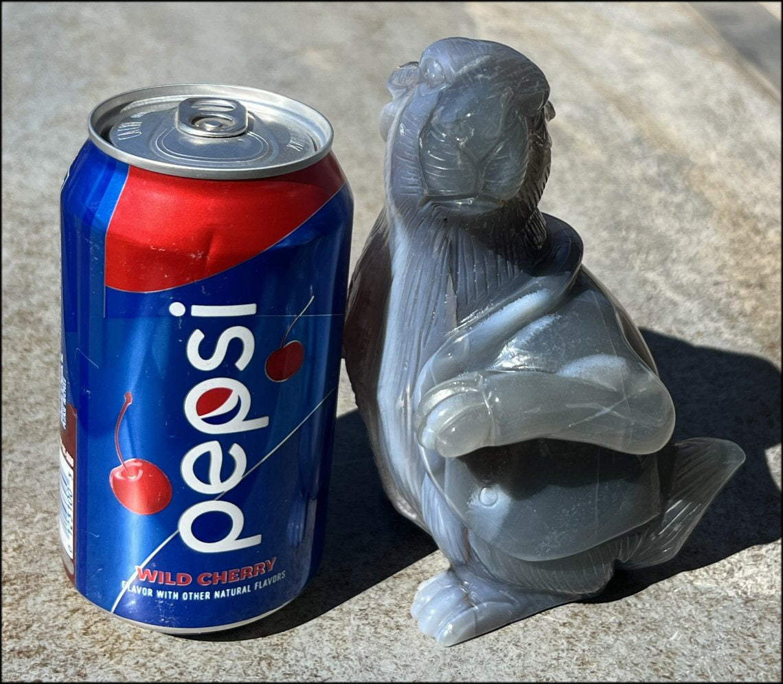 6" Agate RABBIT Totem with BIG Amethyst Lined VUG – Blue Star Traders ...