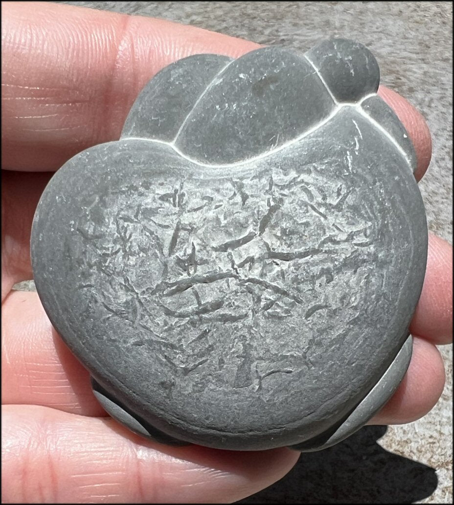 ~Weird~ Harricana River, QC FAIRY STONE Specimen - AKA Goddess Stone ...