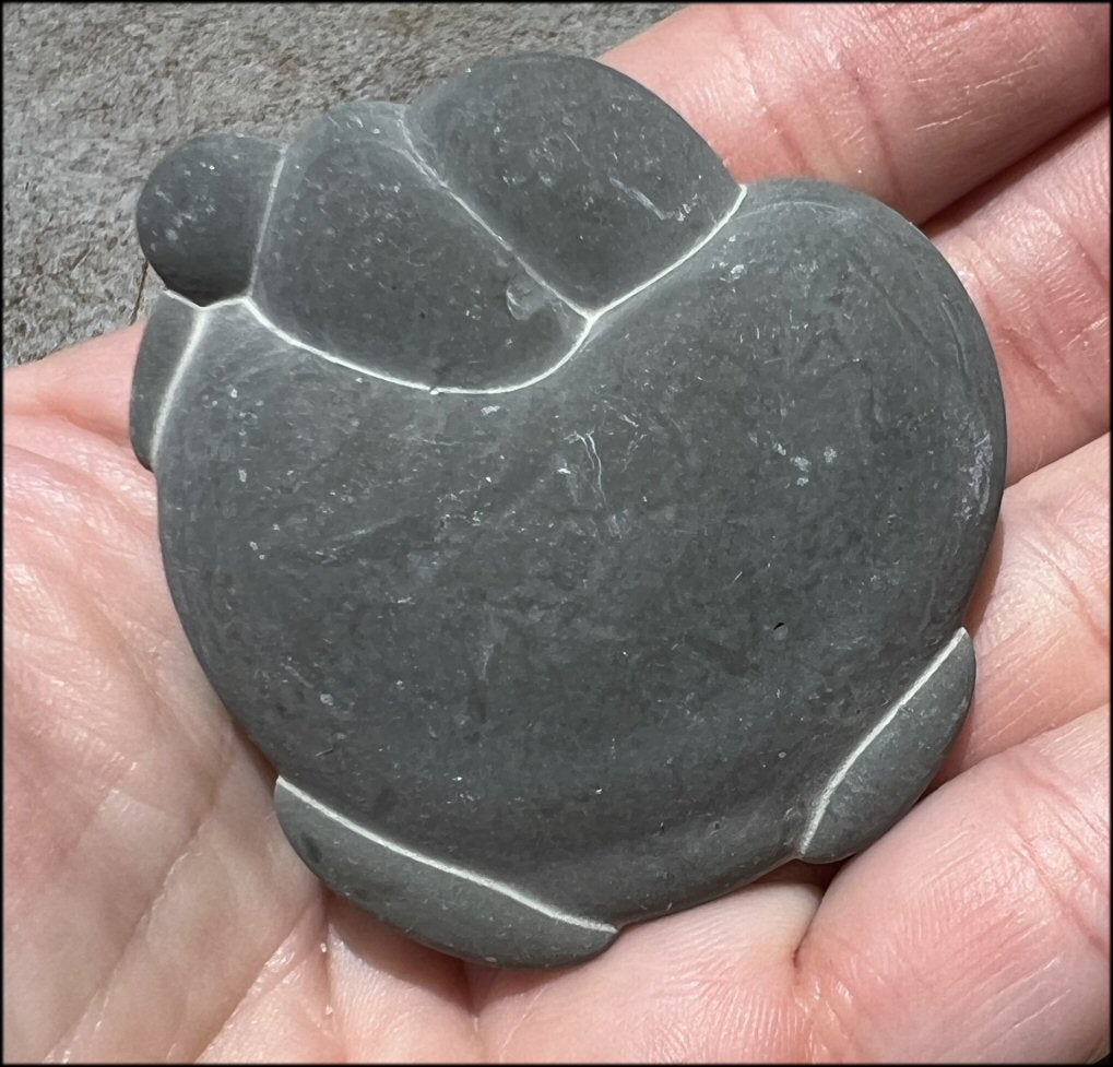 ~Weird~ Harricana River, QC FAIRY STONE Specimen - AKA Goddess Stone ...