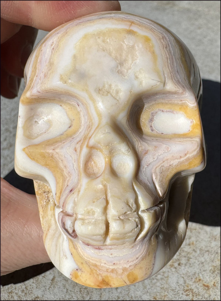 XL Crazy Lace Agate Crystal Skull - Laughter, Balance – Blue Star ...