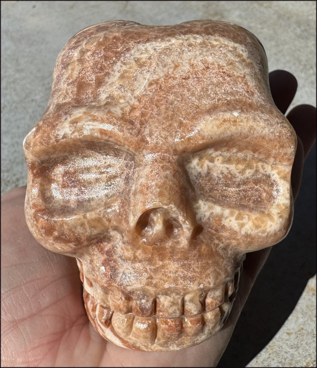 Banded Red + Orange Calcite Ram Skull - Intuition, Inner Strength, Ari ...