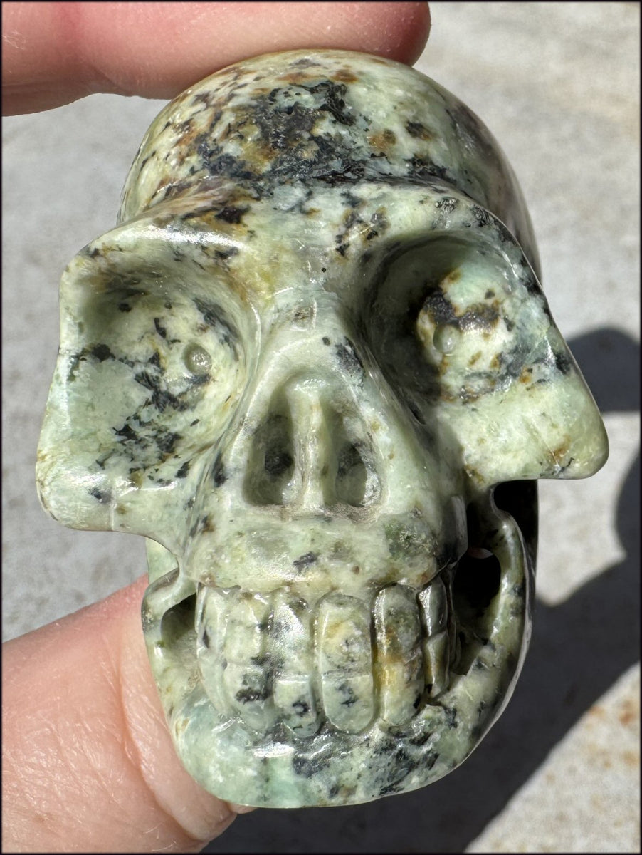 Turquoise CRYSTAL SKULL - Enhance Mind+Heart Connection – Blue Star ...