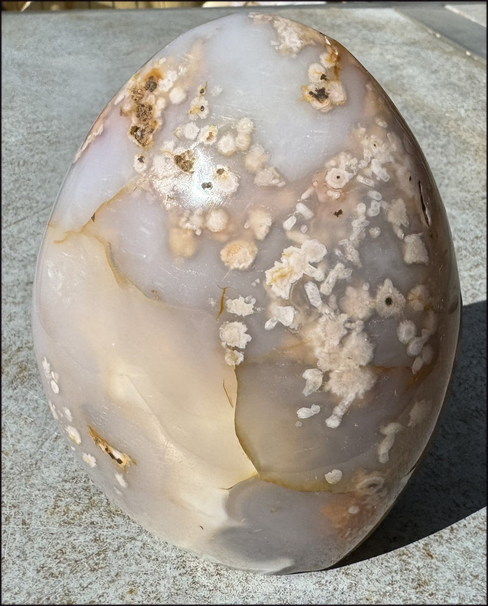 Cherry Blossom Agate Standing Stone with Cool VUGS - just under 2lbs ...